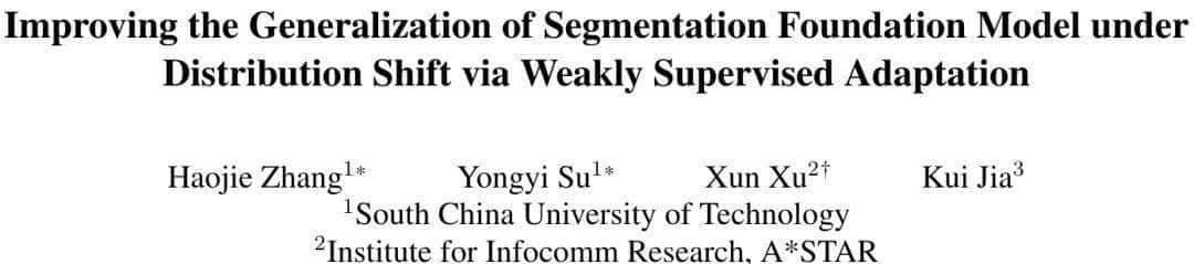 CVPR 2024 | 分割一切模型SAM泛化能力差？域适应策略给解决了 - 宋马